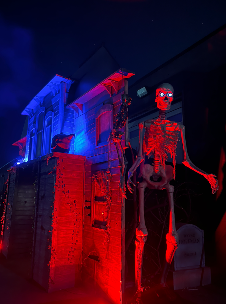 From Garage Dreams to Professional Screams: The Rise of King City ...